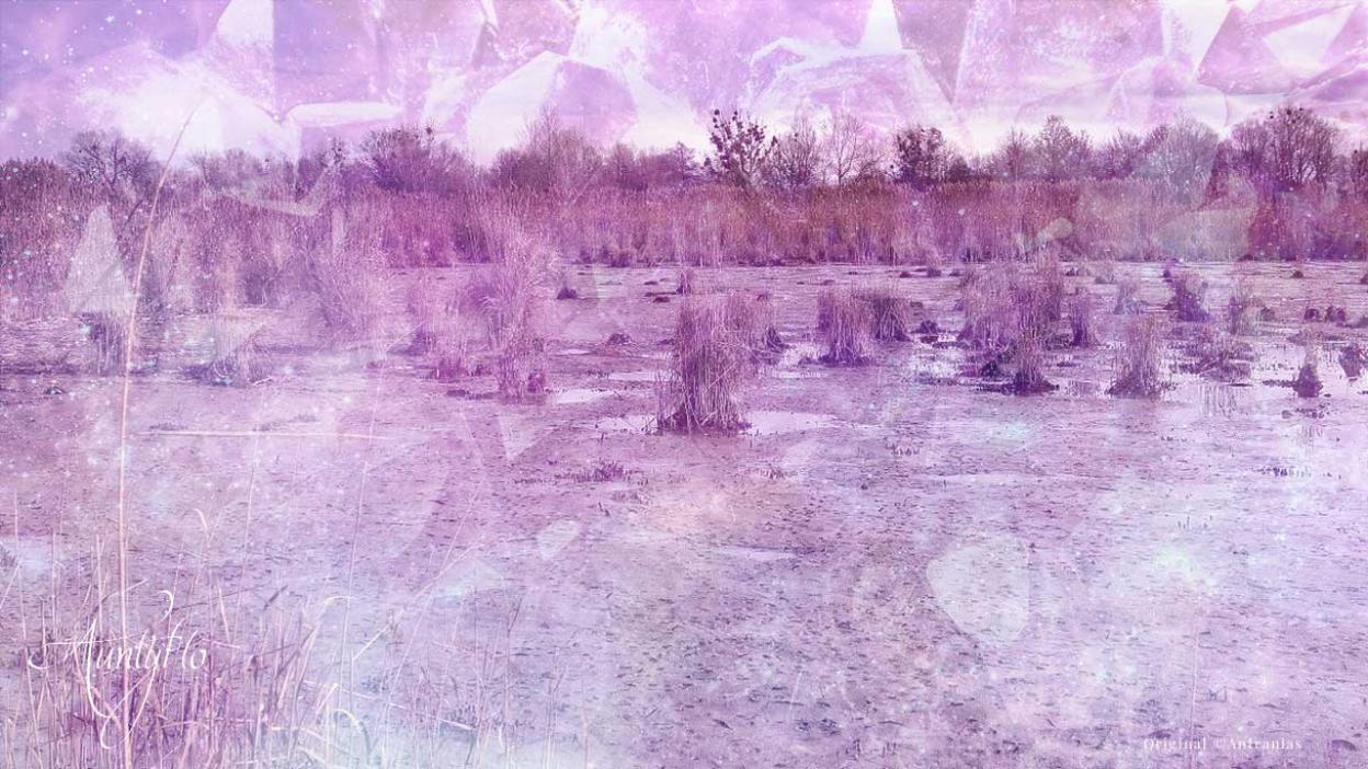 Quagmire Dream Dictionary: Interpret Now! - Auntyflo.com