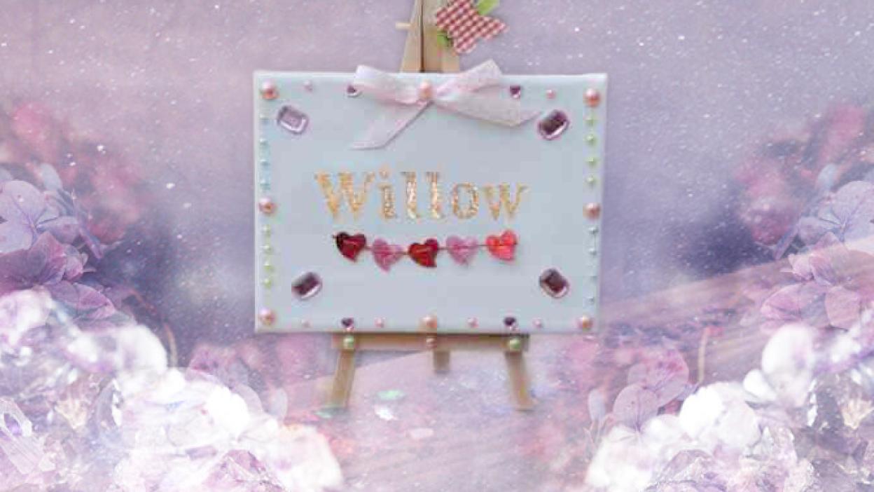Willow Name Meaning - Unlock The Secrets | Auntyflo.com