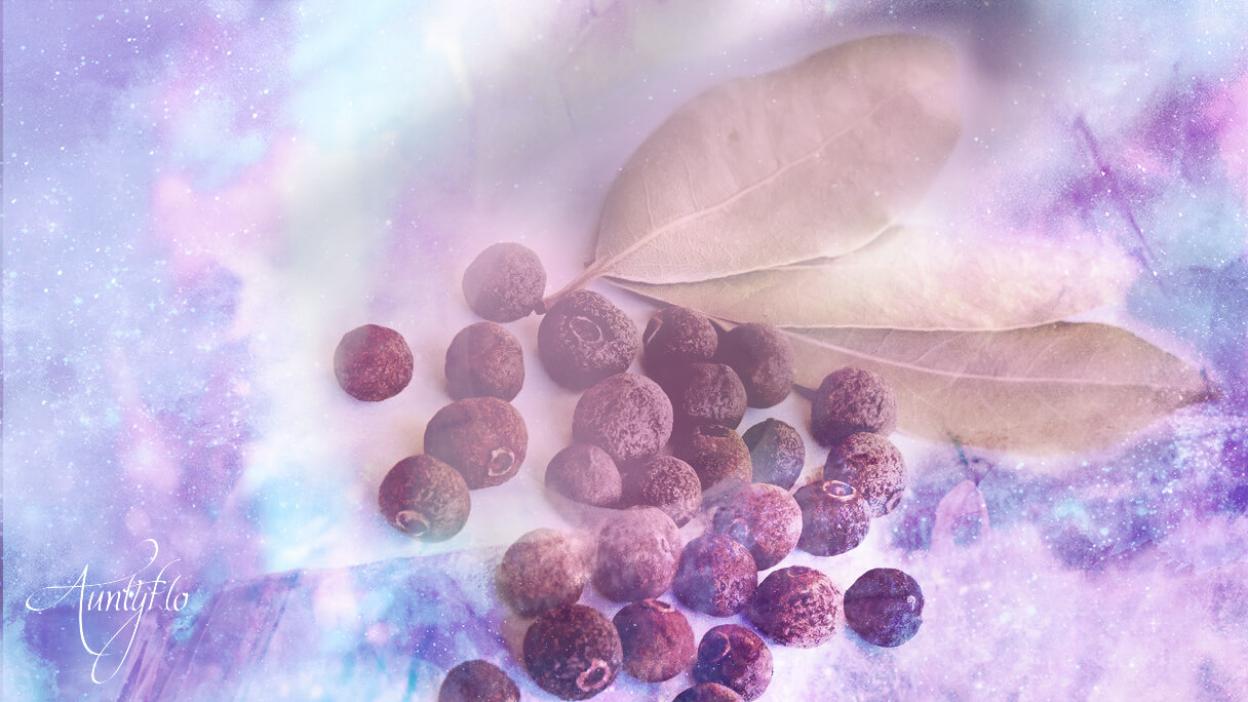 Allspice berries are a common spice derived from the unripe fruit of ...