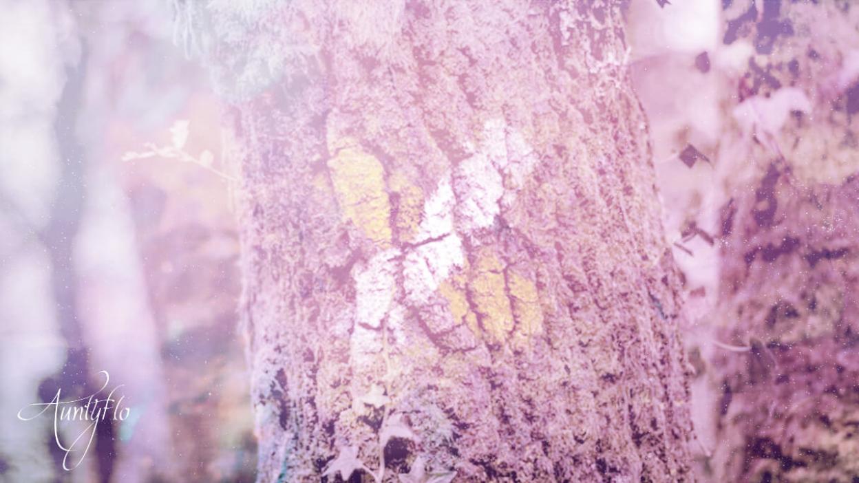 Devil’s Mark Spiritual Meaning And Interpretation | Auntyflo.com