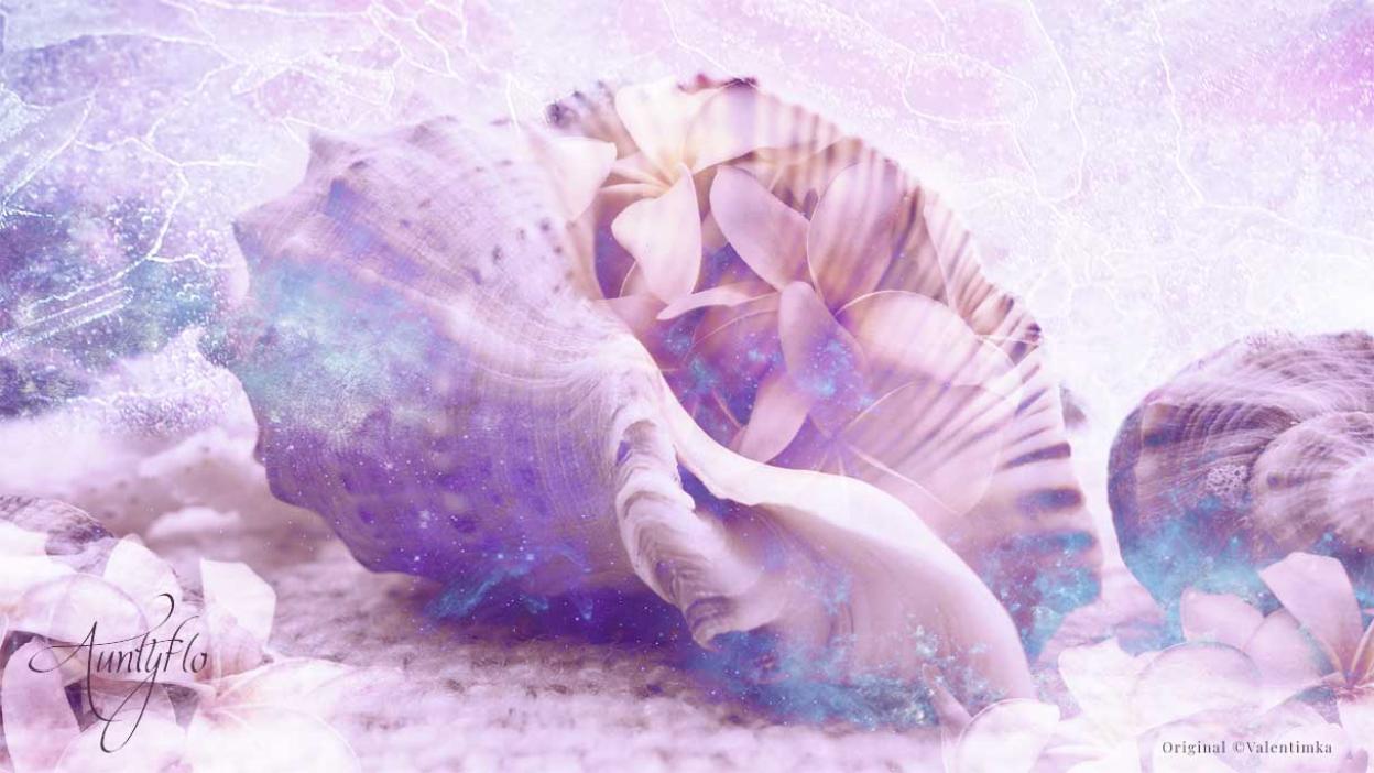 Conch: Awaken your magick powers | Auntyflo.com