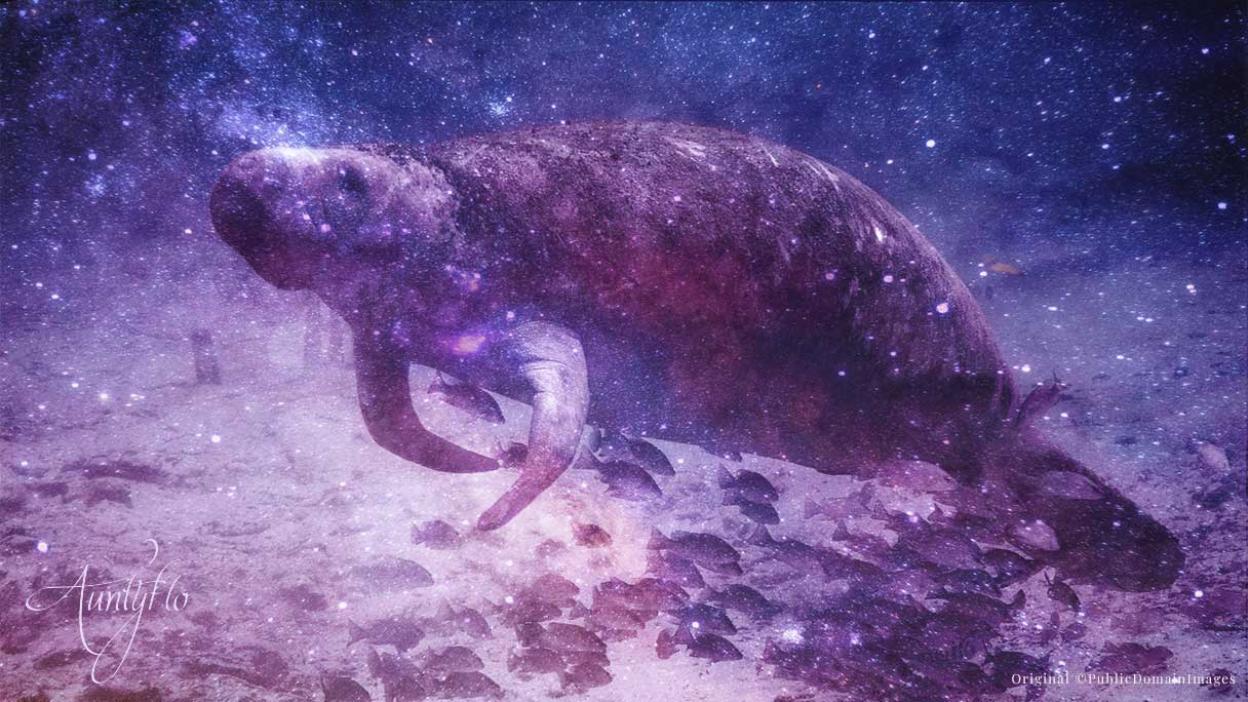Dugong: Awaken your magick powers | Auntyflo.com