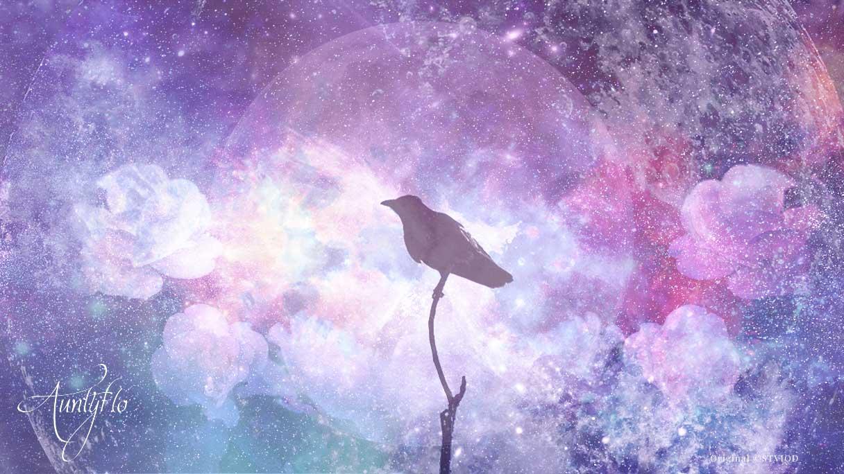 Crow Meaning Spiritual | Auntyflo.com
